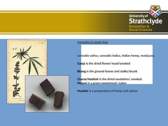 The history of weed cannabisbritannica.pptx