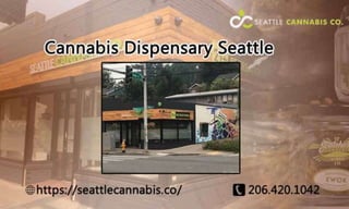 Best Cannabis Dispensary Seattle - Seattle Cannabis.co