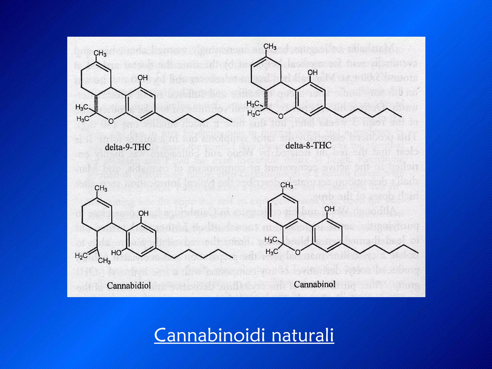 Cannabis e adolescenza | PPT