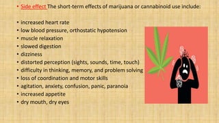Cannabis | PPTX