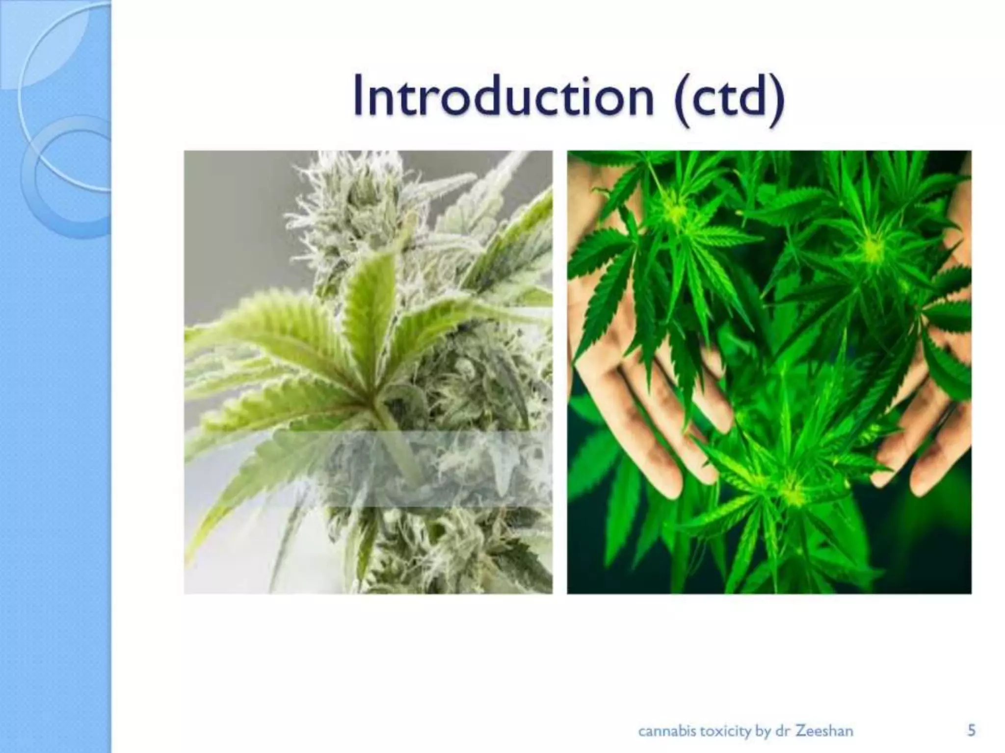 Cannabis /cannabinoids/ chars/ majun/ bhang / ganja / marijuana ...
