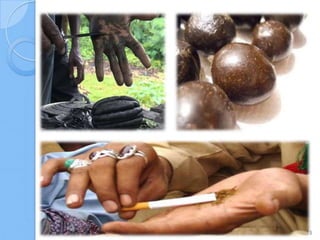 Cannabis /cannabinoids/ chars/ majun/ bhang / ganja / marijuana ...