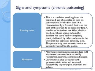 Cannabis /cannabinoids/ chars/ majun/ bhang / ganja / marijuana ...