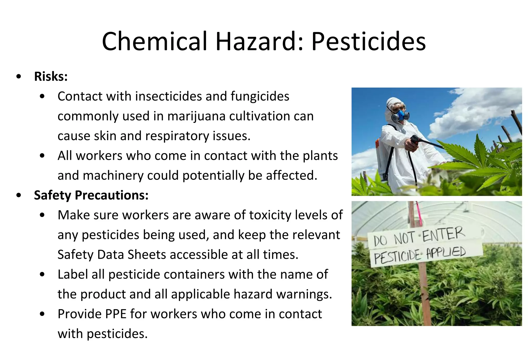 Cannabis Production Safety 2019 | PPTX