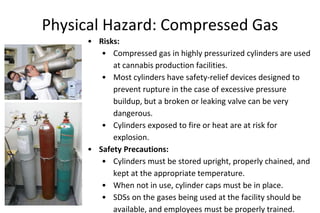 Cannabis Production Safety 2019 | PPTX