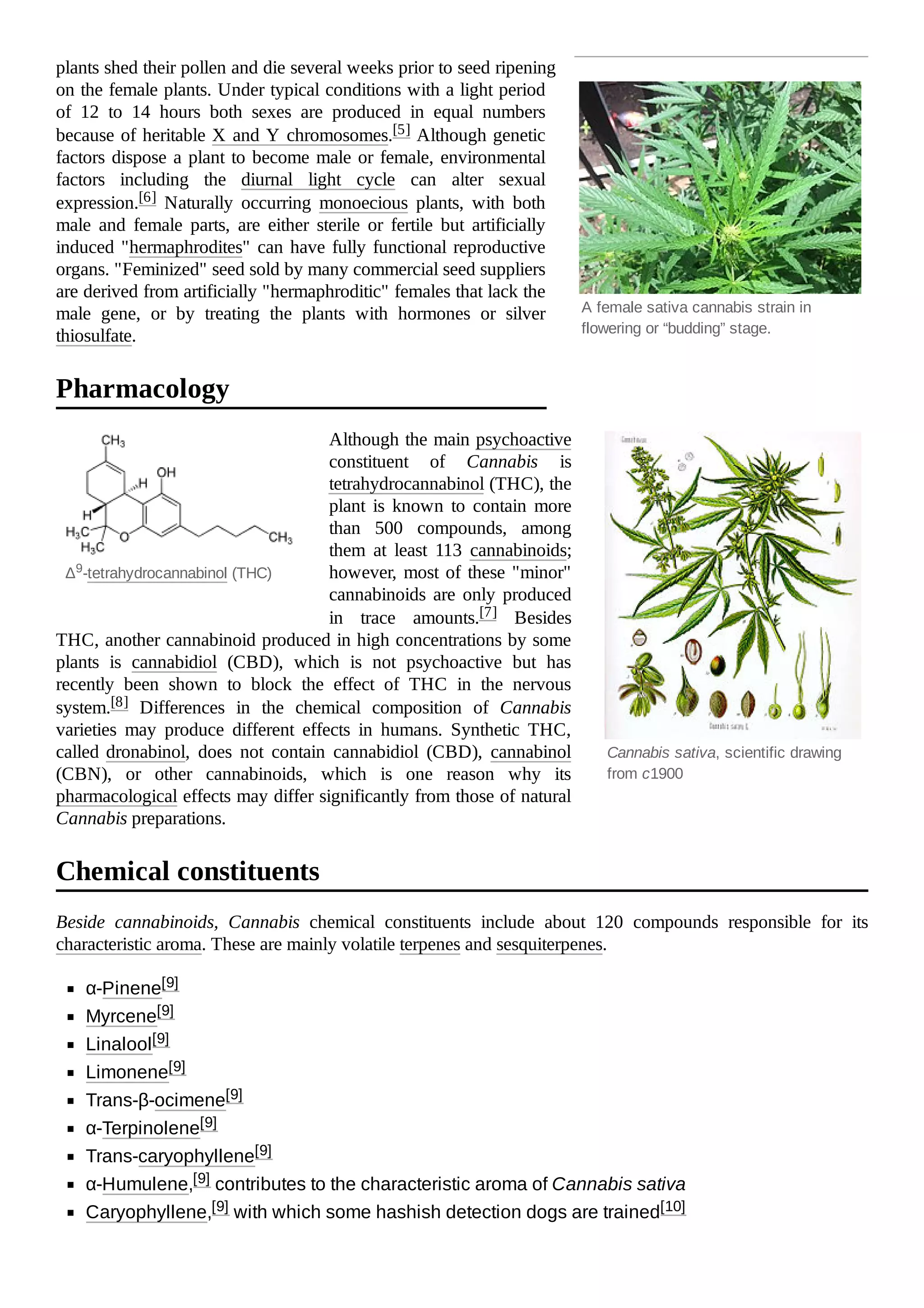 Cannabis sativa | PDF