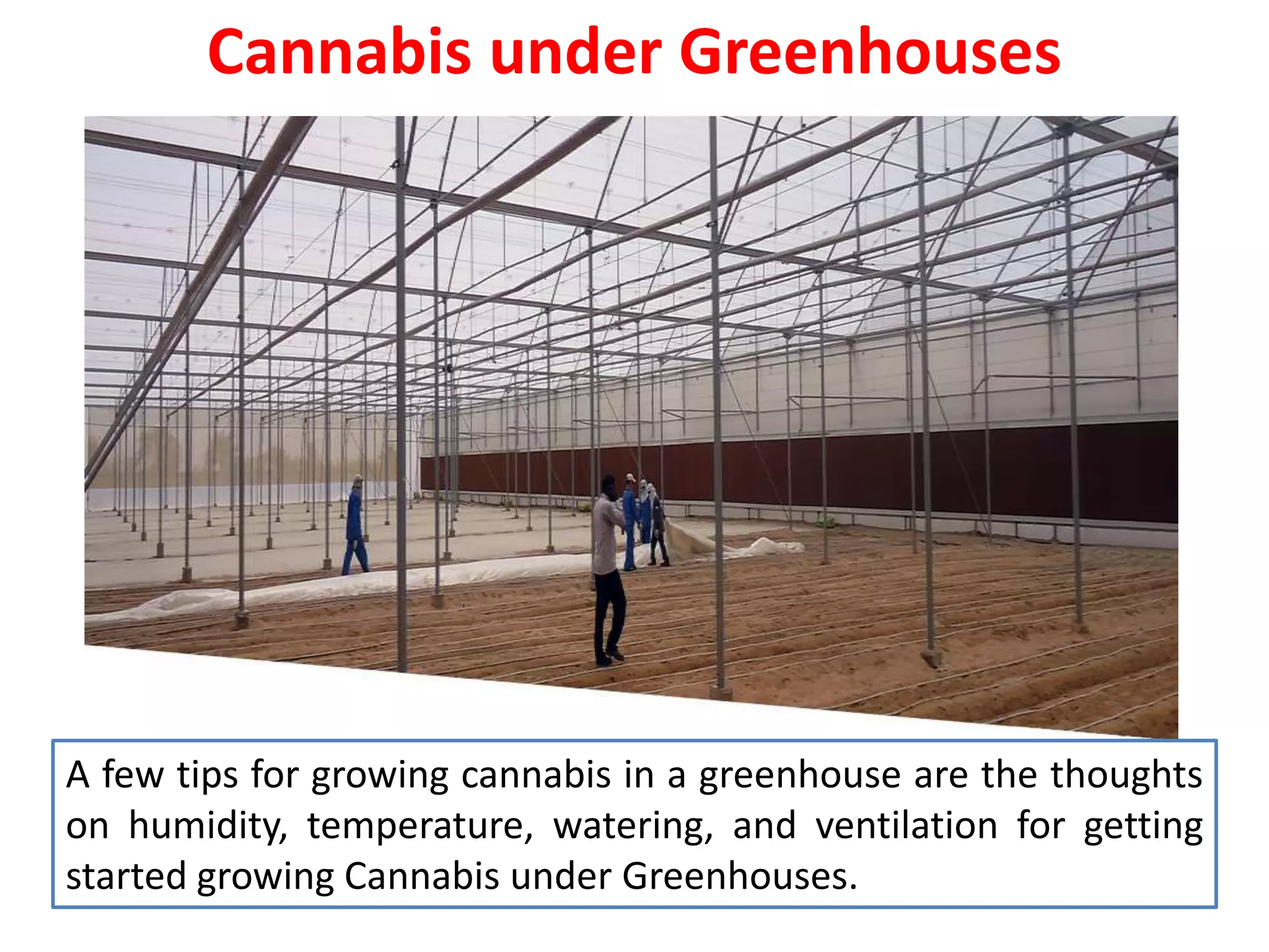 Commercial Greenhouses | PPTX