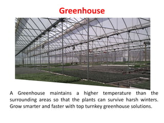 Commercial Greenhouses | PPTX
