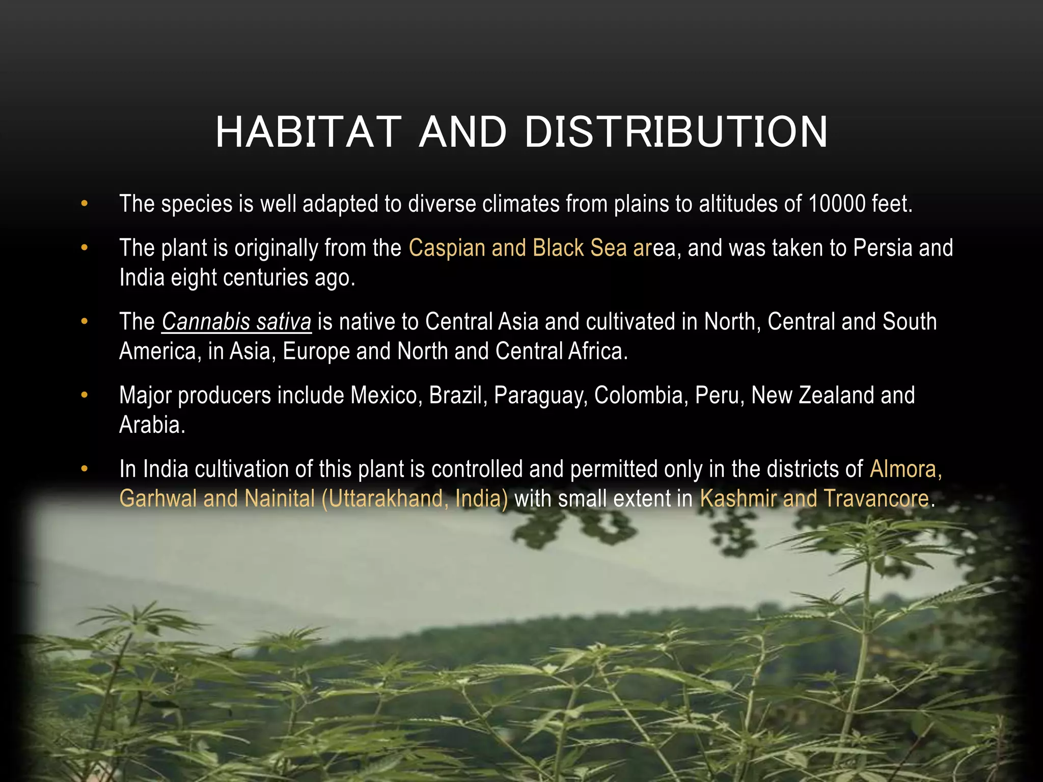 Cannabis sativa | PPTX