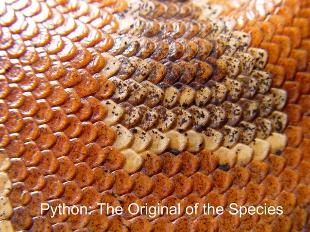 Cannibalising The Google App Engine | PDF