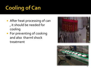 Canning of Fruits and Vegetables | PPTX