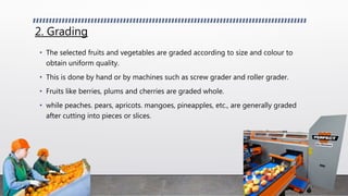 Canning of fruits and vegetables | PPT