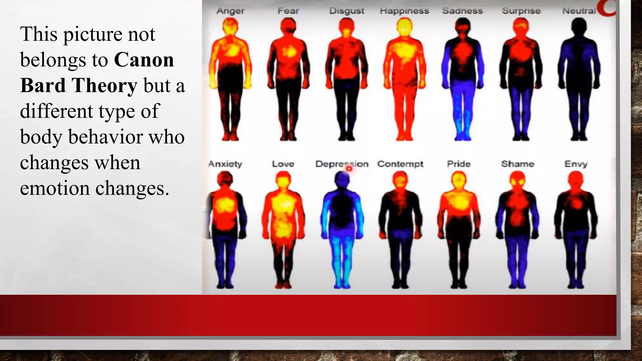 Cannon bard theory of emotions | PPTX