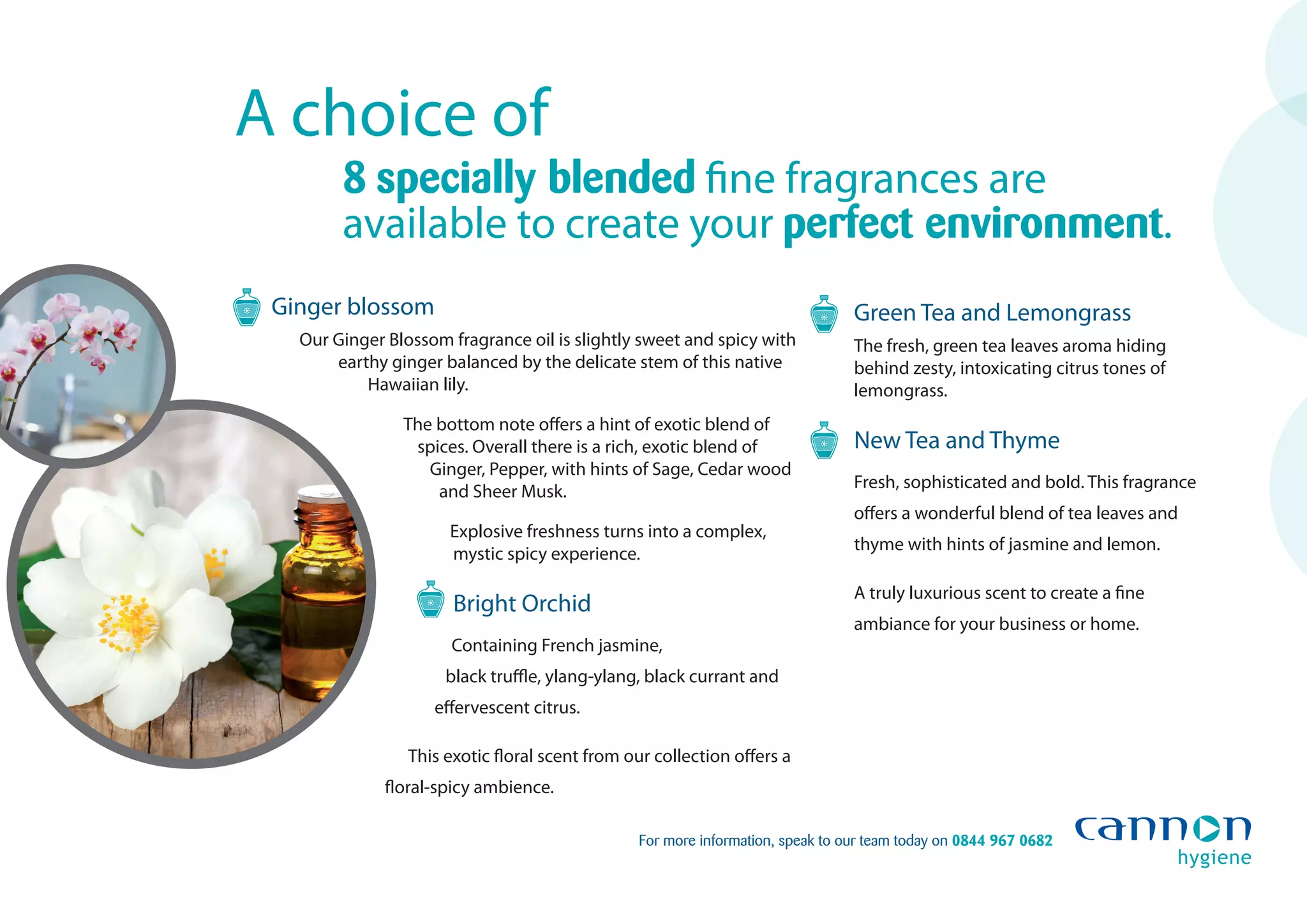 The Cannon Scent | PDF