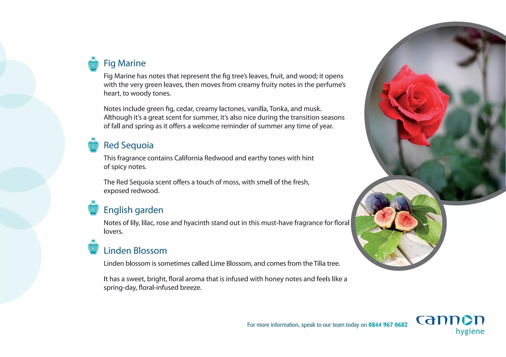 The Cannon Scent | PDF