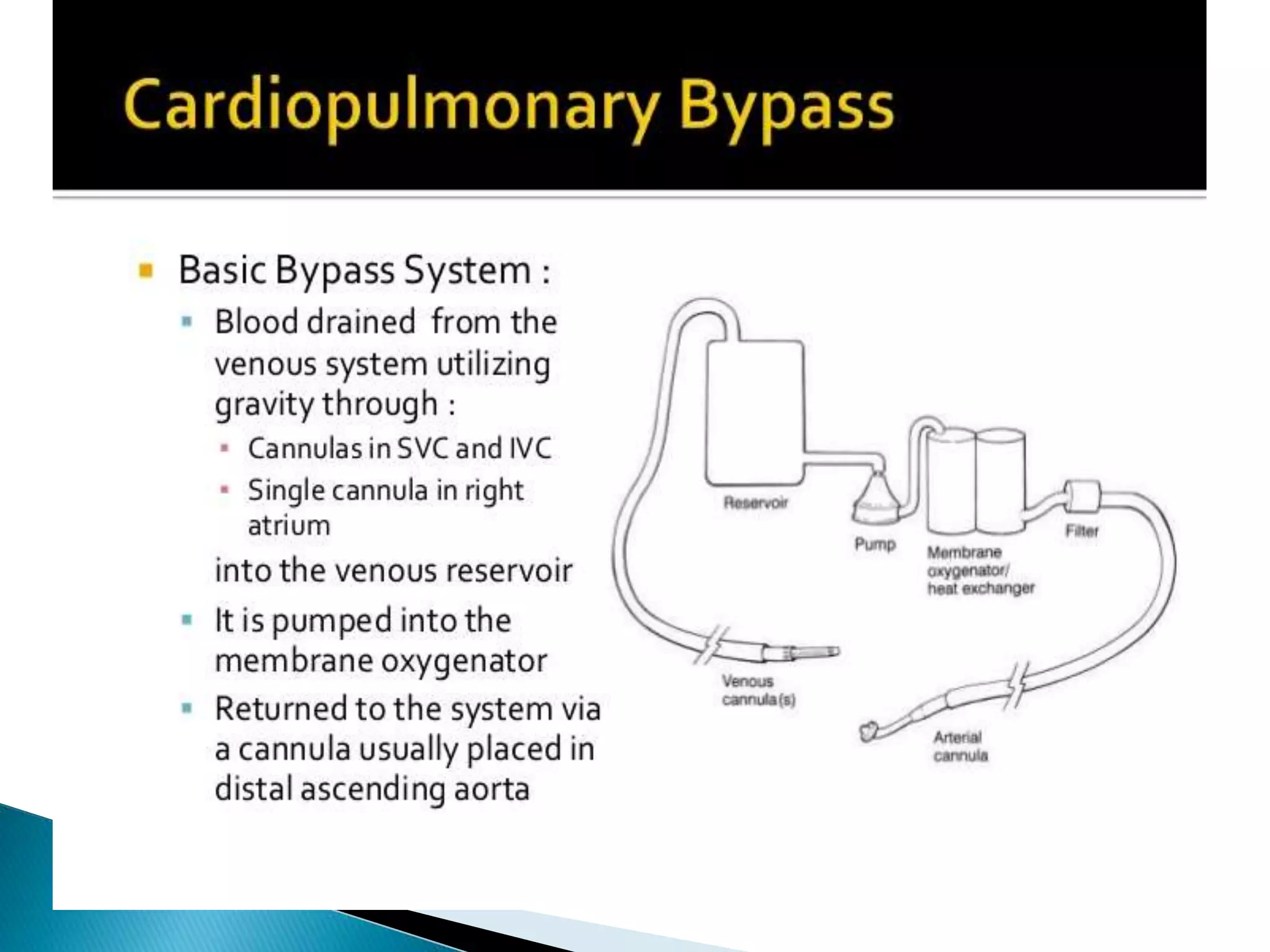 Cannulation and cardiopulmonary bypass. | PPTX