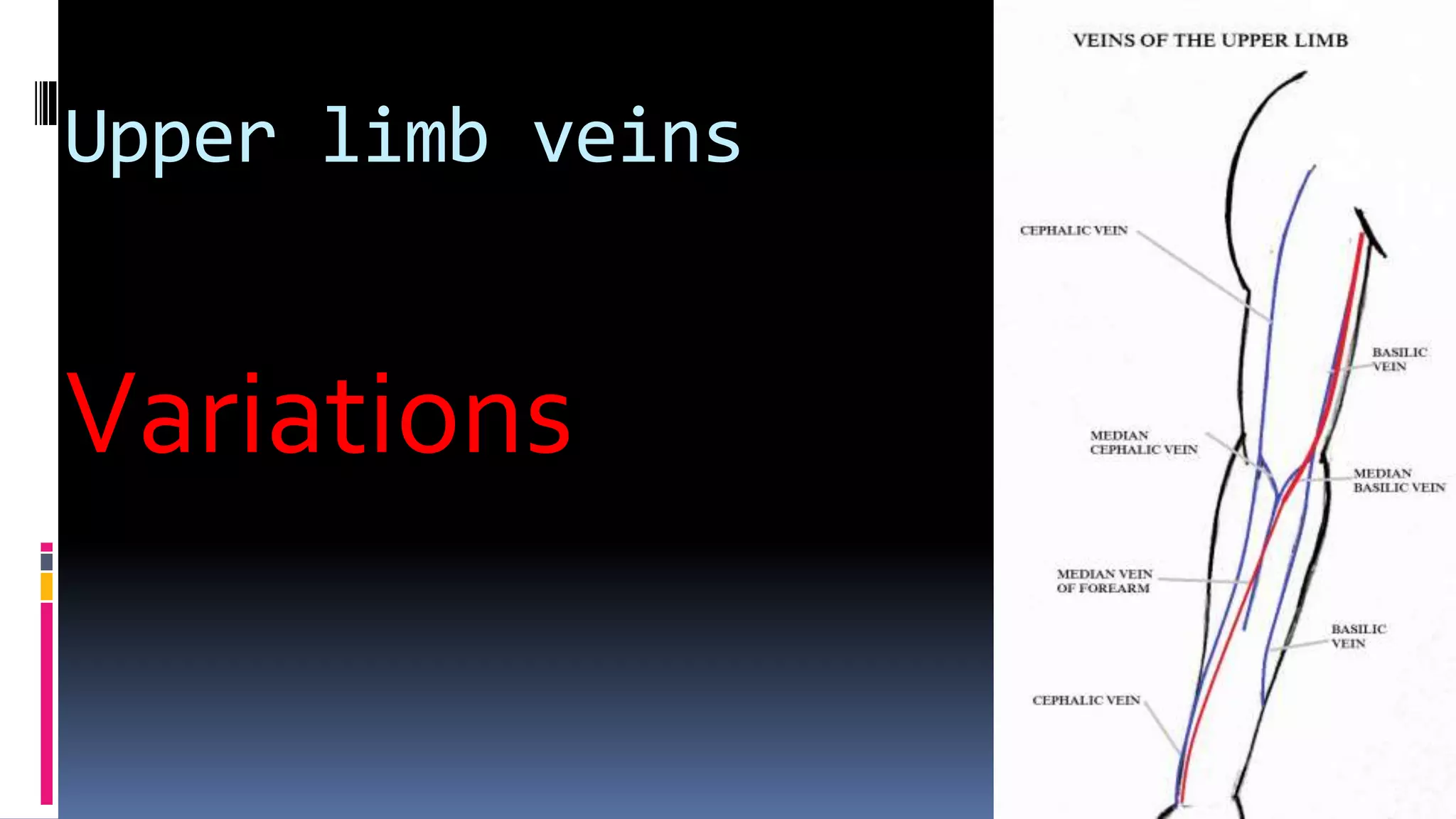 Cannulation and complications | PPTX