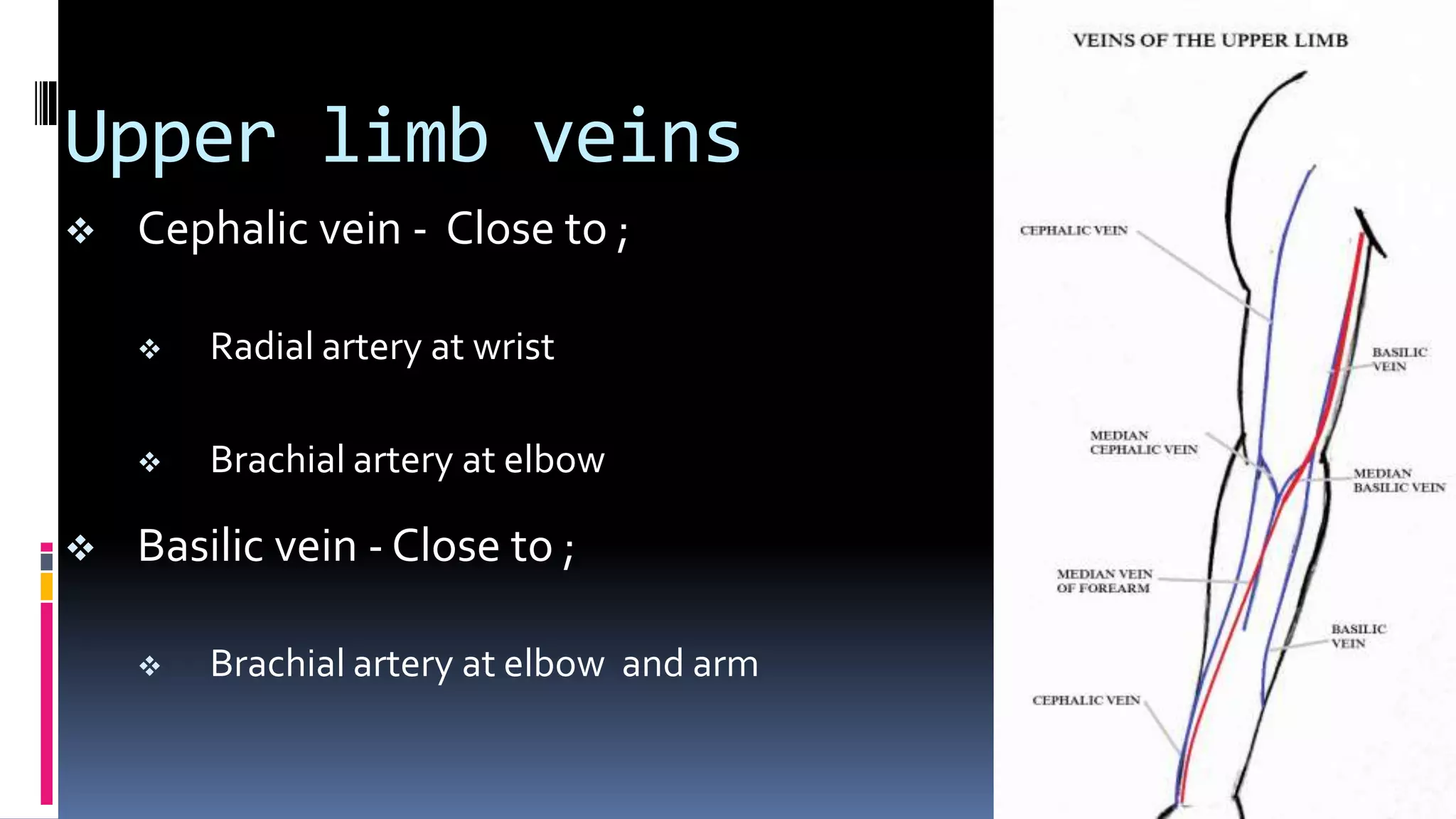 Cannulation and complications | PPTX