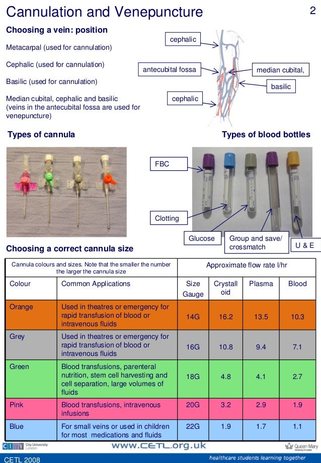 Cannulation venepuncture print