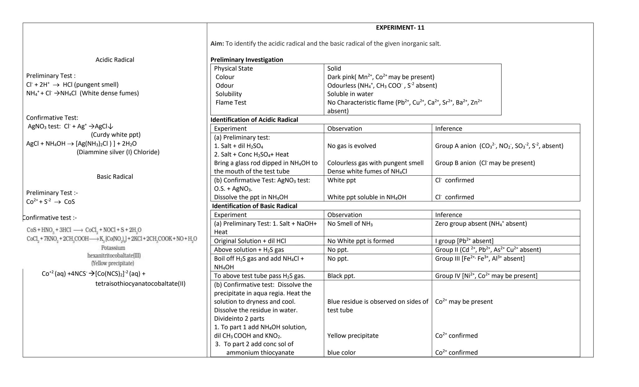 Ca(NO)3 + coloured salts for classs 12 | DOCX