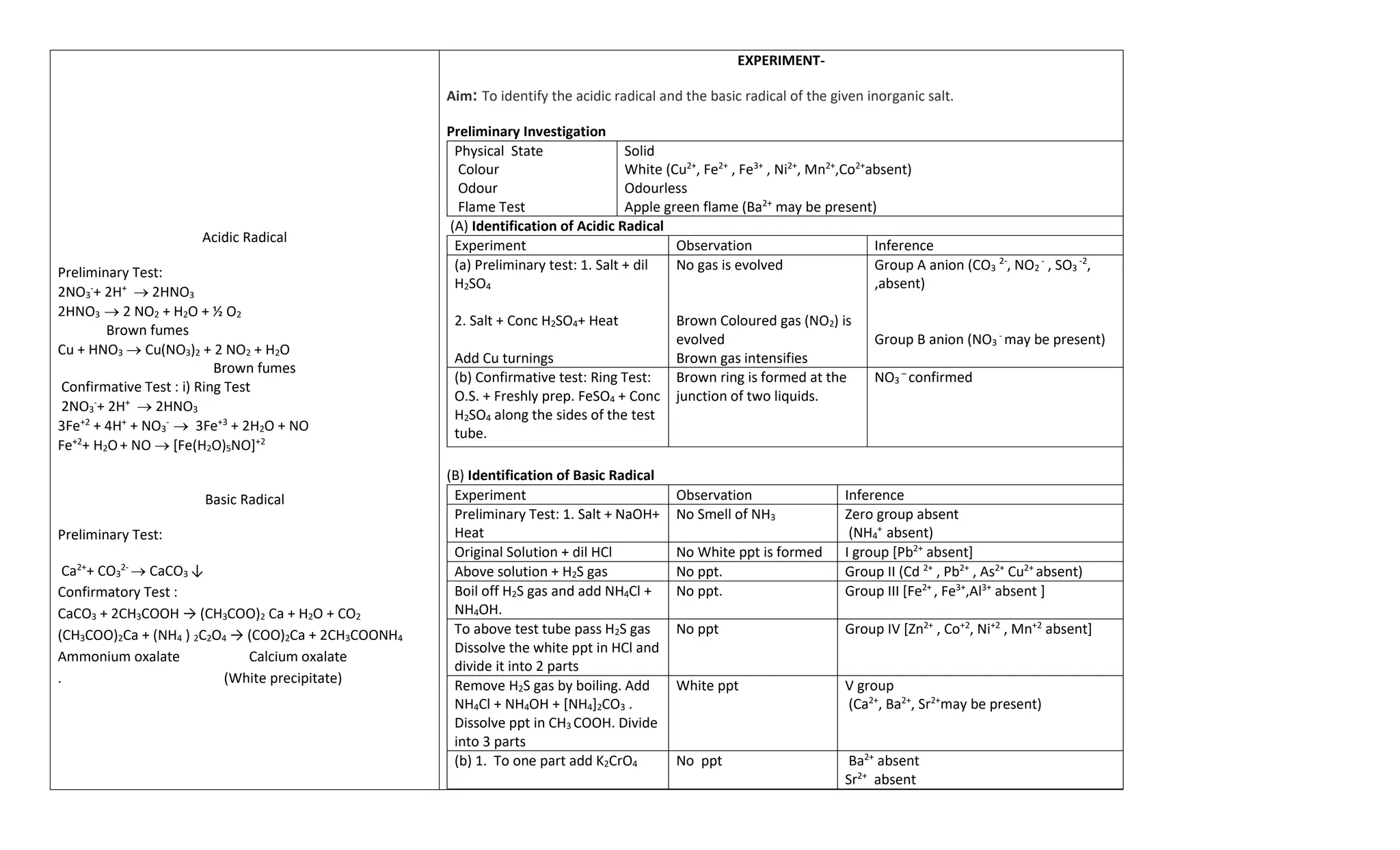 Ca(NO)3 + coloured salts for classs 12 | DOCX