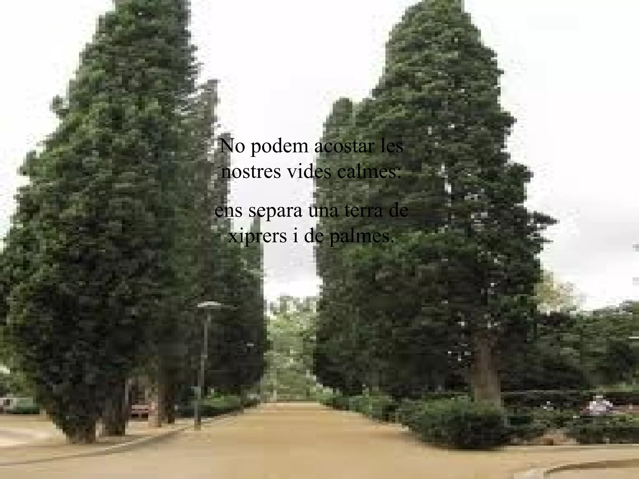 Canço a mahalta | PPT