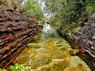 Cano cristales | PPS