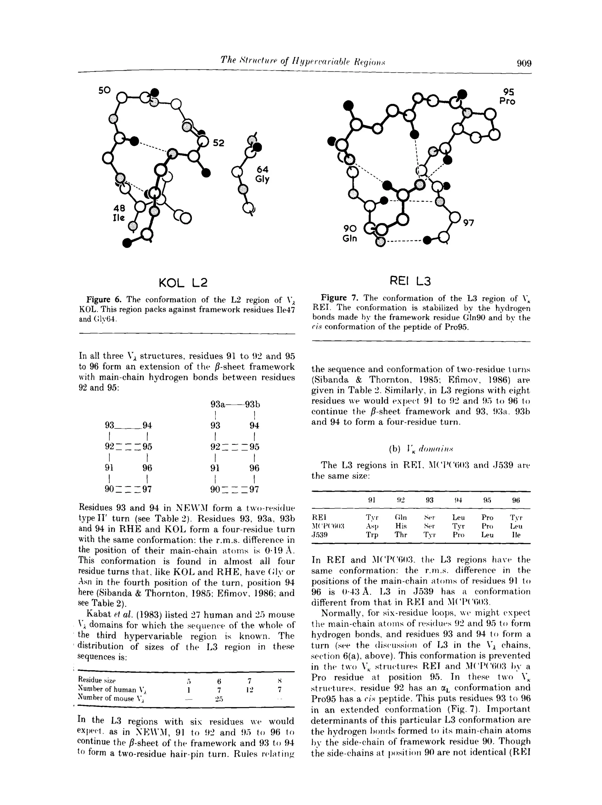Canonical structures for the hypervariable regions of immunoglobulins | PDF