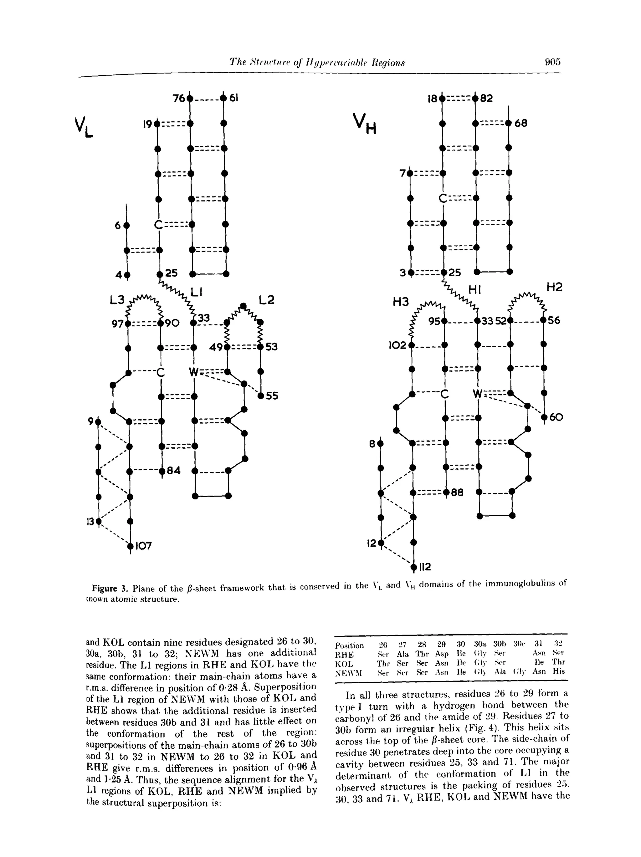Canonical structures for the hypervariable regions of immunoglobulins | PDF