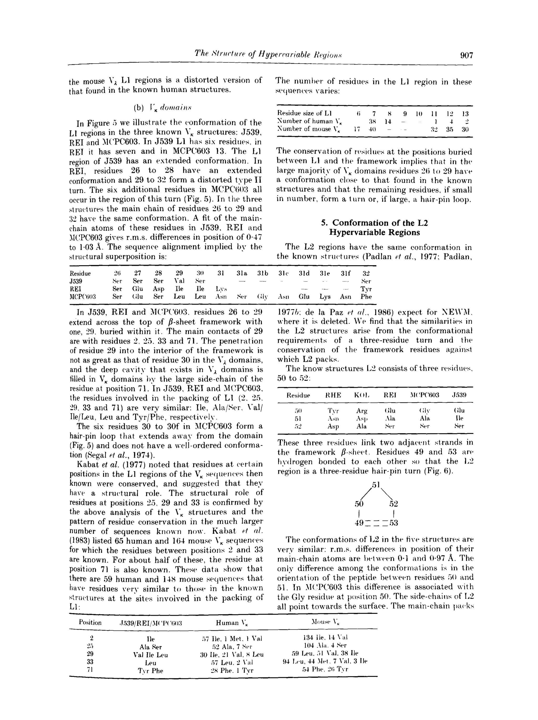 Canonical structures for the hypervariable regions of immunoglobulins | PDF