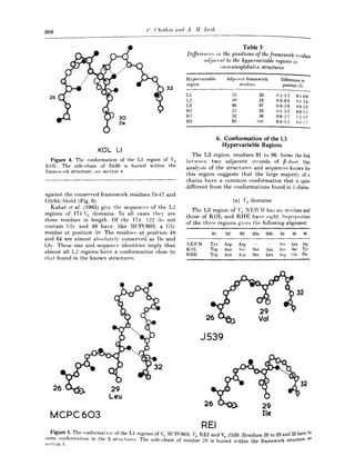 Canonical structures for the hypervariable regions of immunoglobulins | PDF