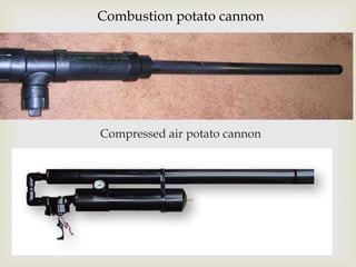 Canon potato | PPT