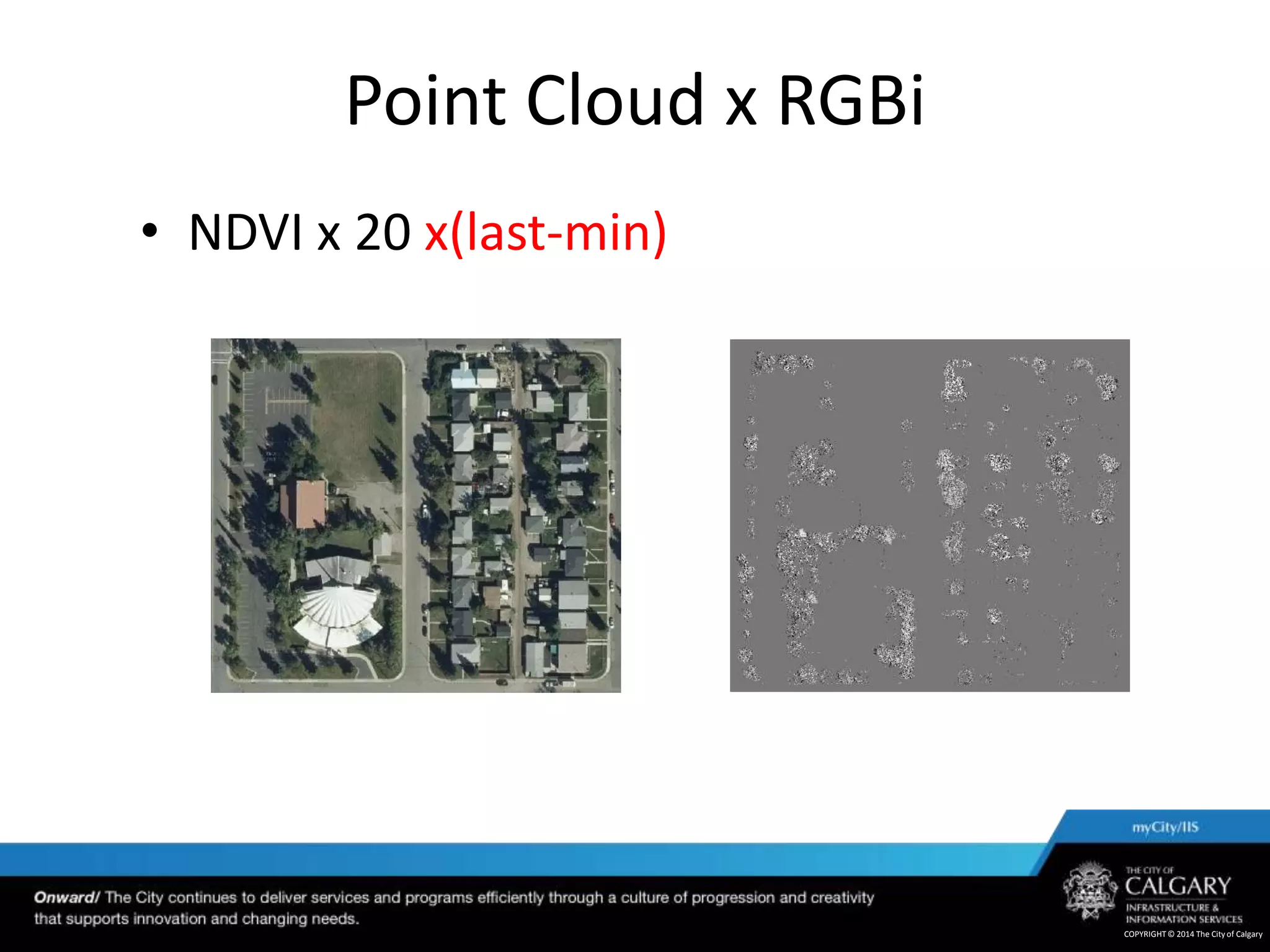 Extracting Canopies from LiDAR Data and RGBI | PPTX