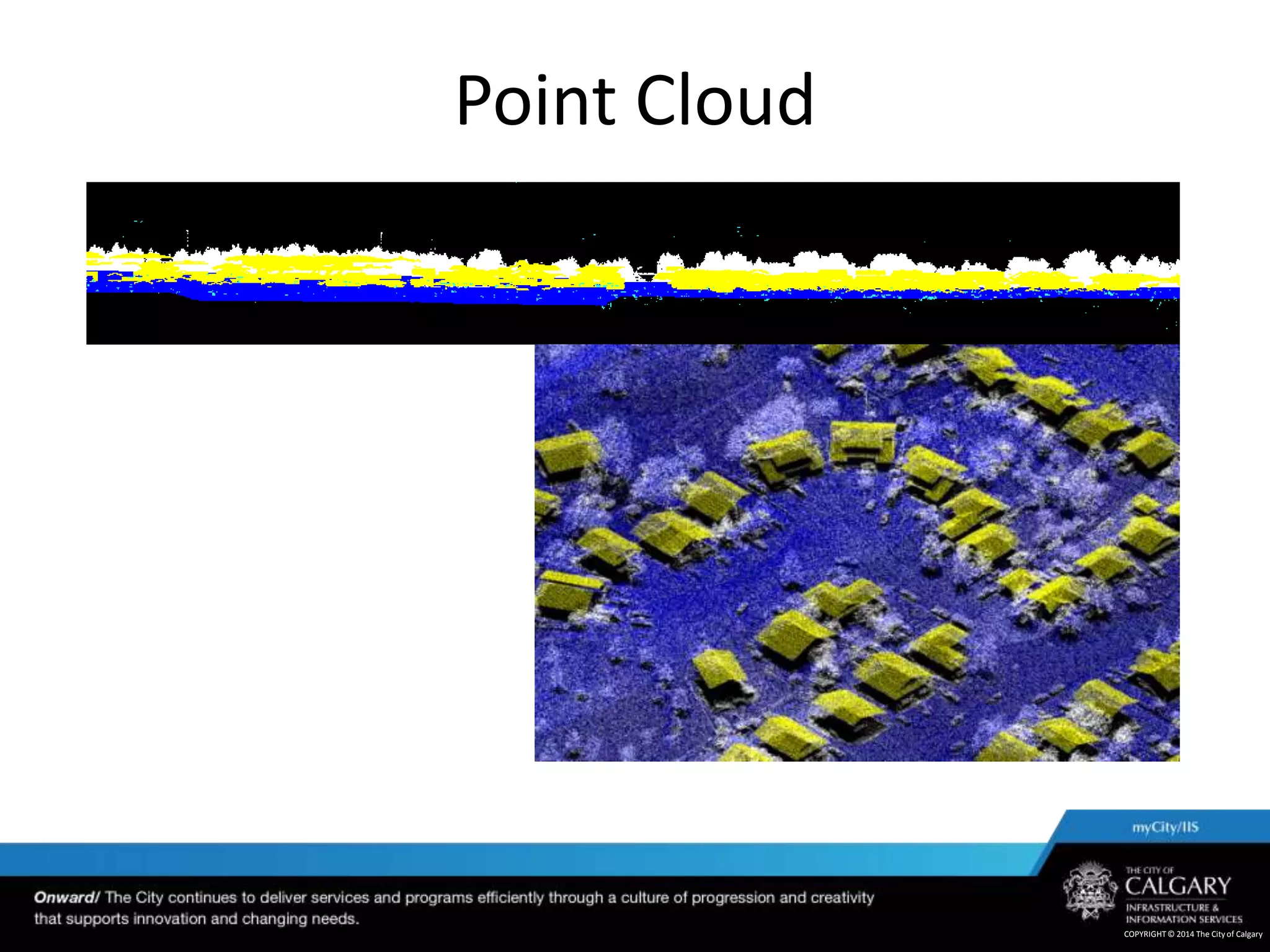 Extracting Canopies from LiDAR Data and RGBI | PPTX