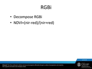 Extracting Canopies from LiDAR Data and RGBI | PPTX