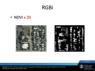 Extracting Canopies from LiDAR Data and RGBI | PPTX