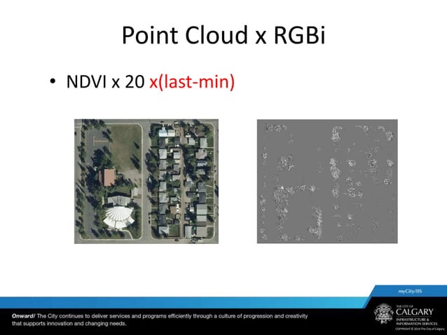 Extracting Canopies from LiDAR Data and RGBI | PPTX