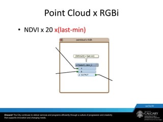 Extracting Canopies from LiDAR Data and RGBI | PPTX