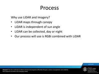 Extracting Canopies from LiDAR Data and RGBI | PPTX