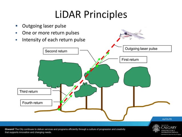 Extracting Canopies from LiDAR Data and RGBI | PPTX