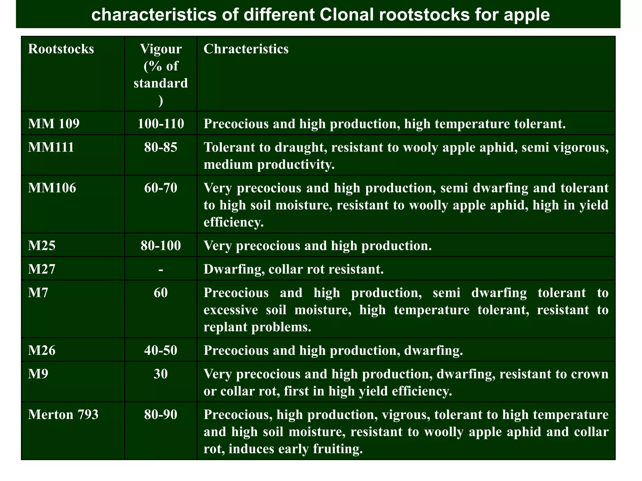 Canopy Managament and HDP in apple.ppt