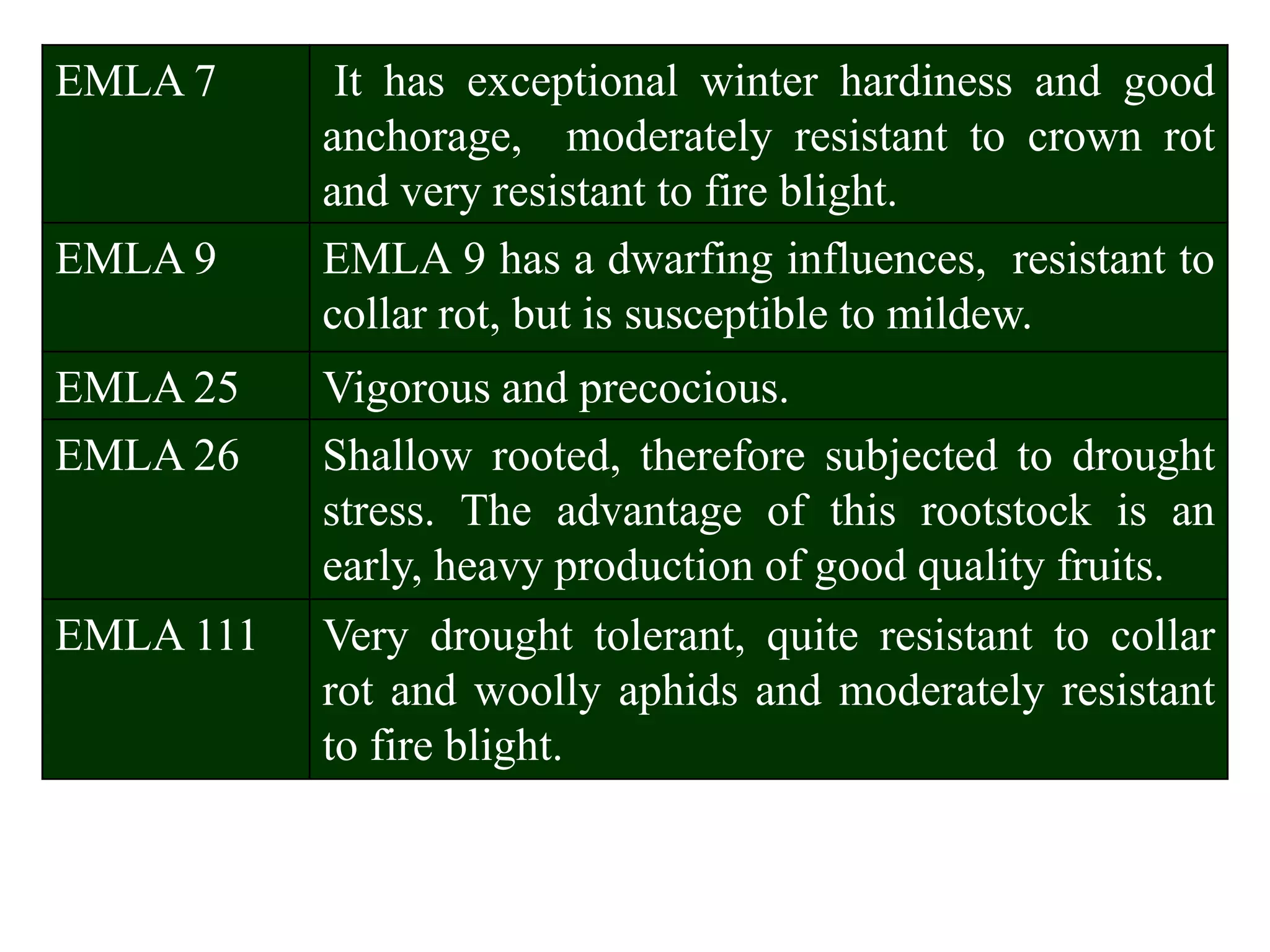 Canopy Managament and HDP in apple.ppt