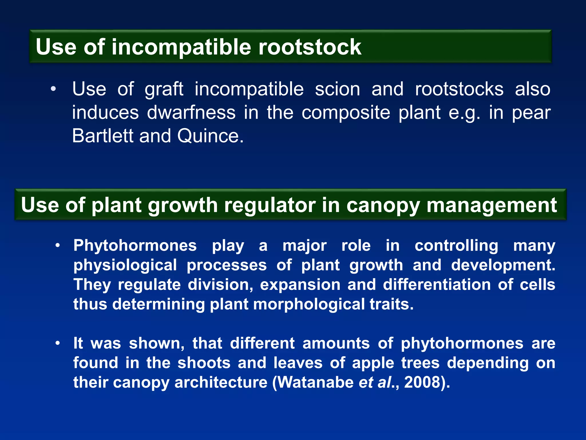 Canopy Managament and HDP in apple.ppt