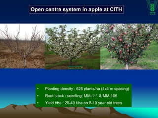 Canopy Managament and HDP in apple.ppt