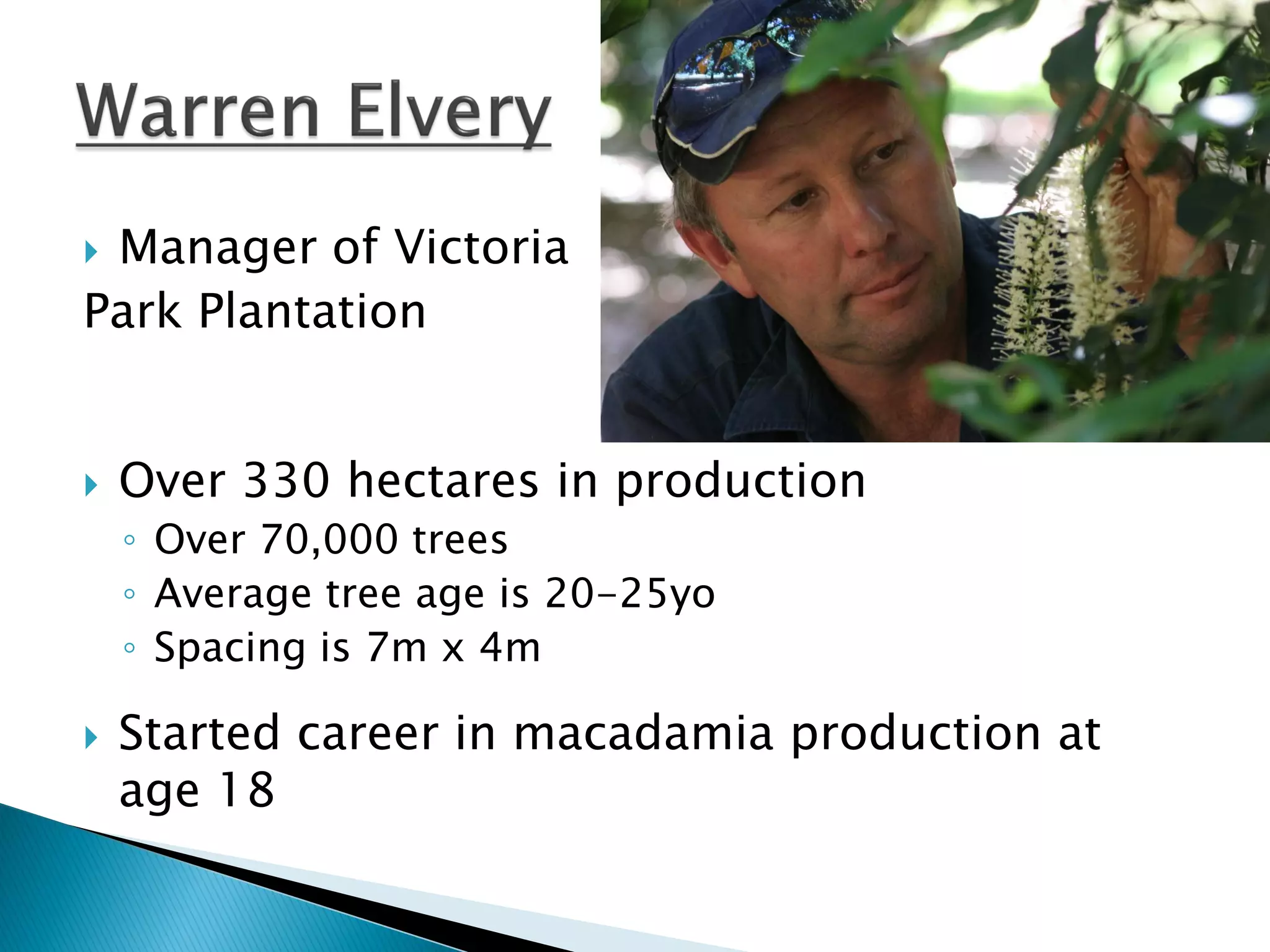 Canopy management mature orchard canopy management – a 20 year grower’s ...