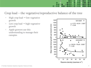 Canopy management tree training & crop loading – opportunities to learn ...