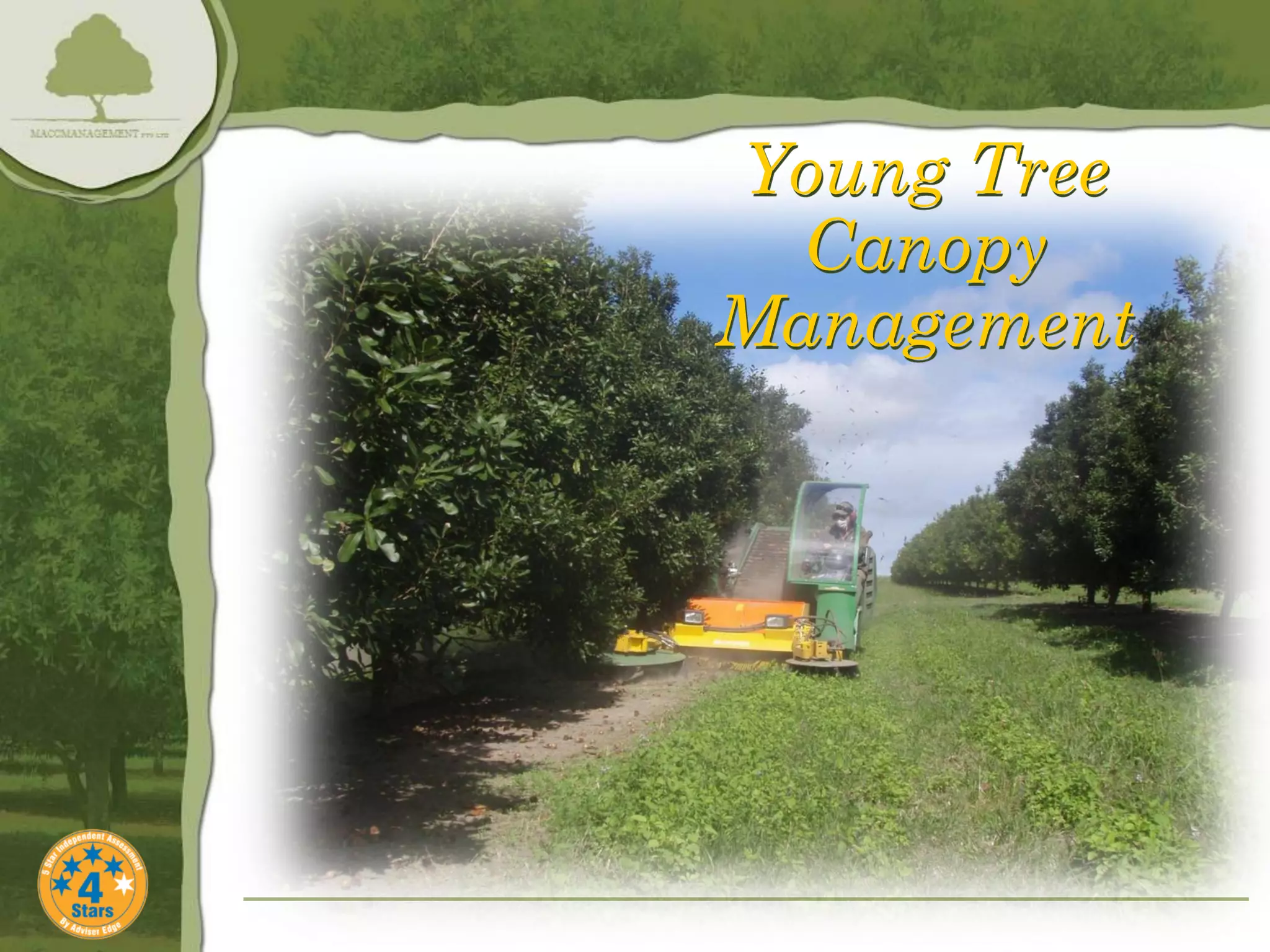 Canopy management young tree canopy management – a broad acre ...