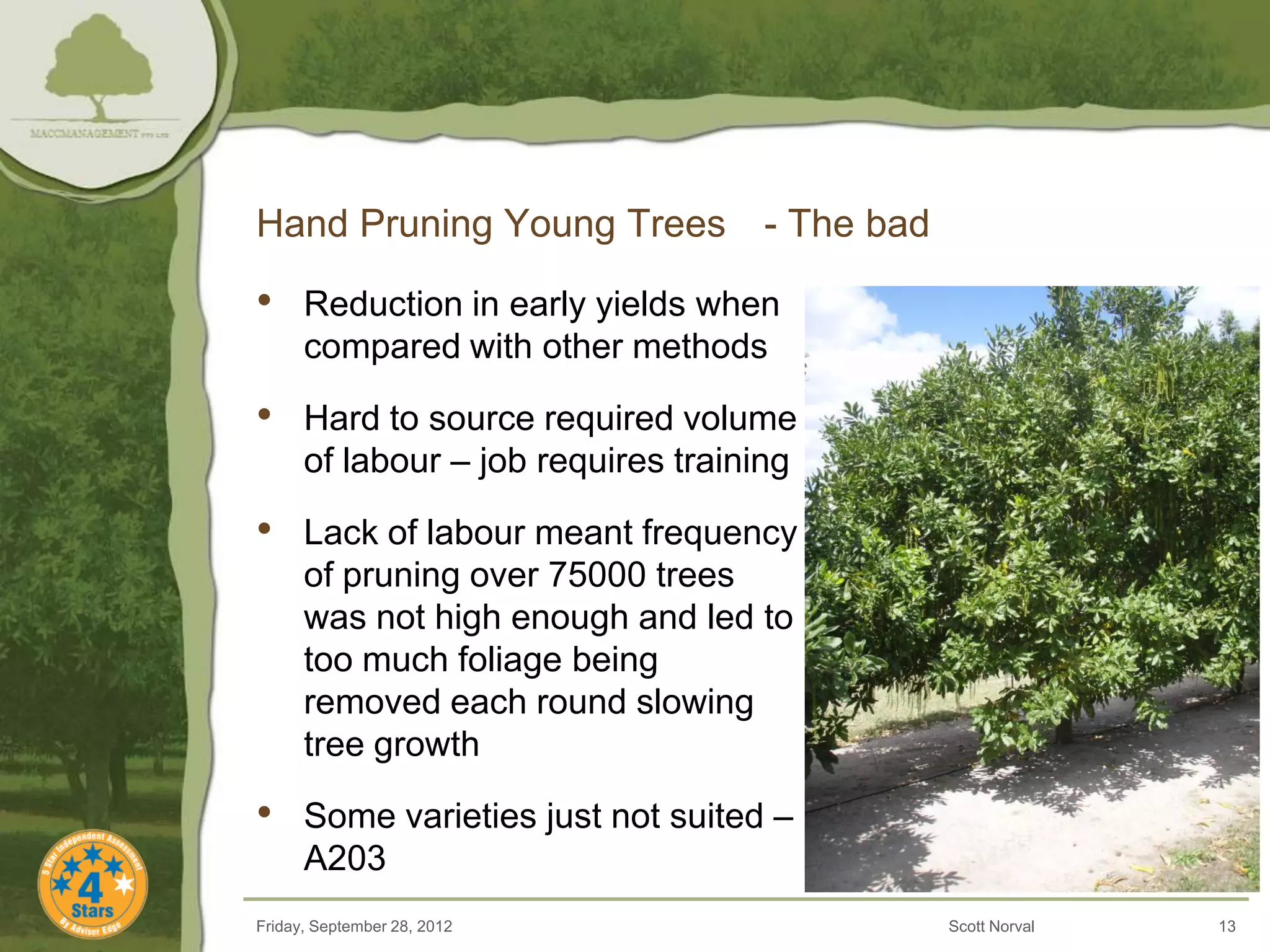 Canopy management young tree canopy management – a broad acre ...