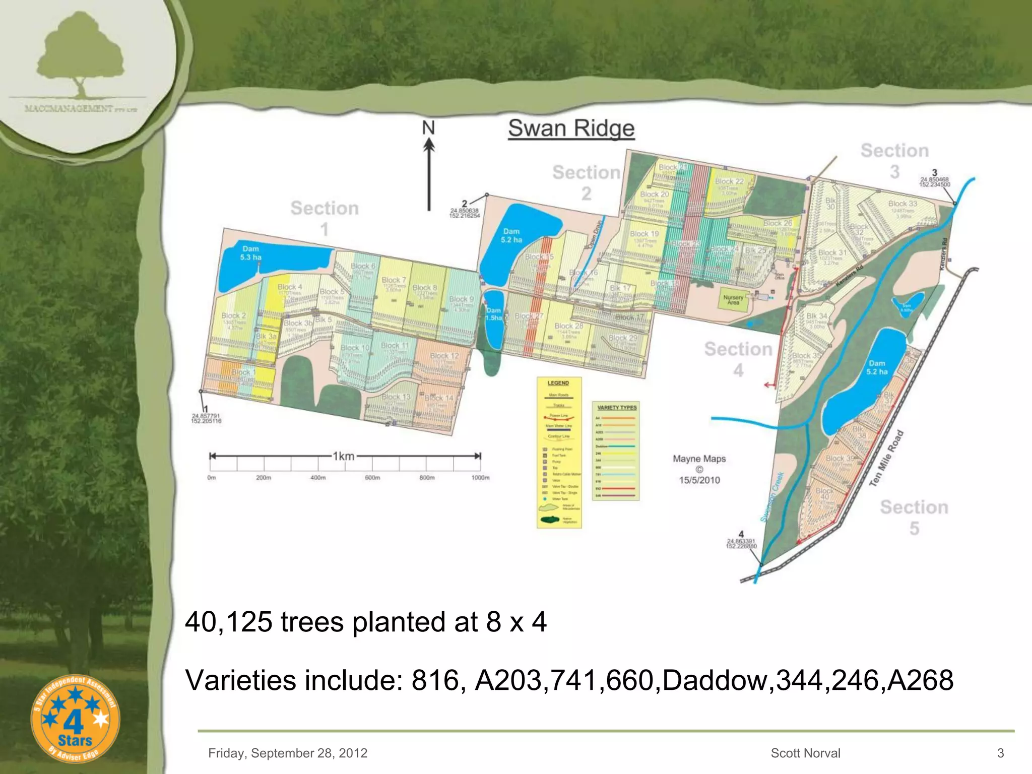 Canopy management young tree canopy management – a broad acre ...