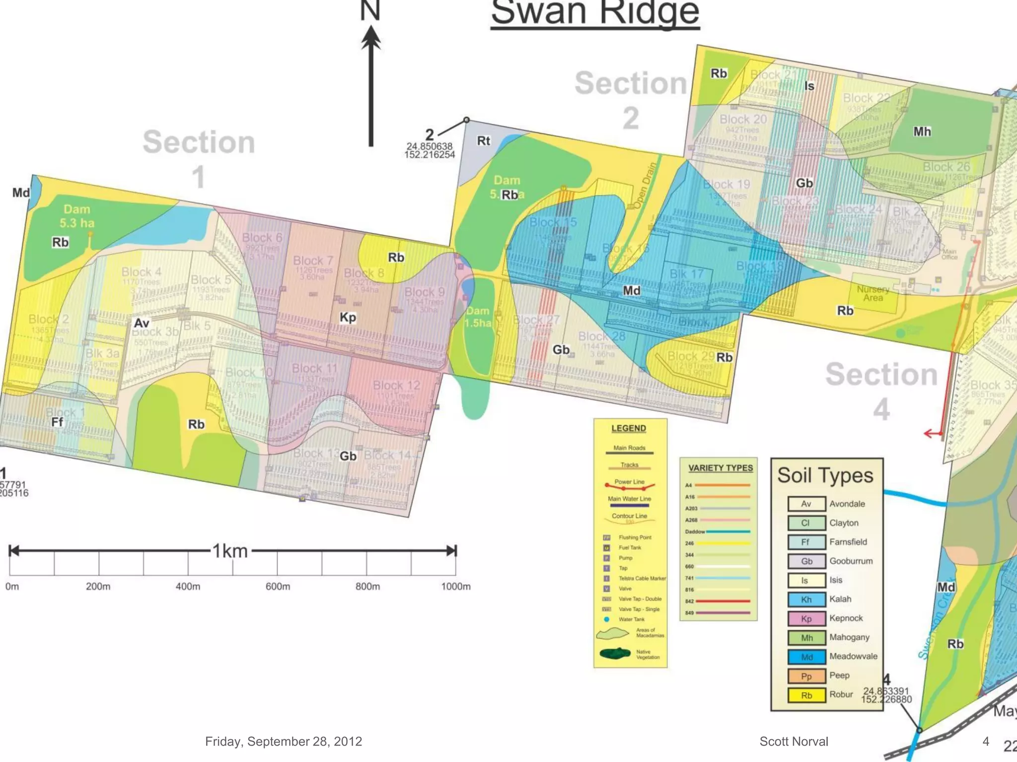 Canopy management young tree canopy management – a broad acre ...